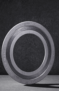 Gaskets and Seals | KLINGER India